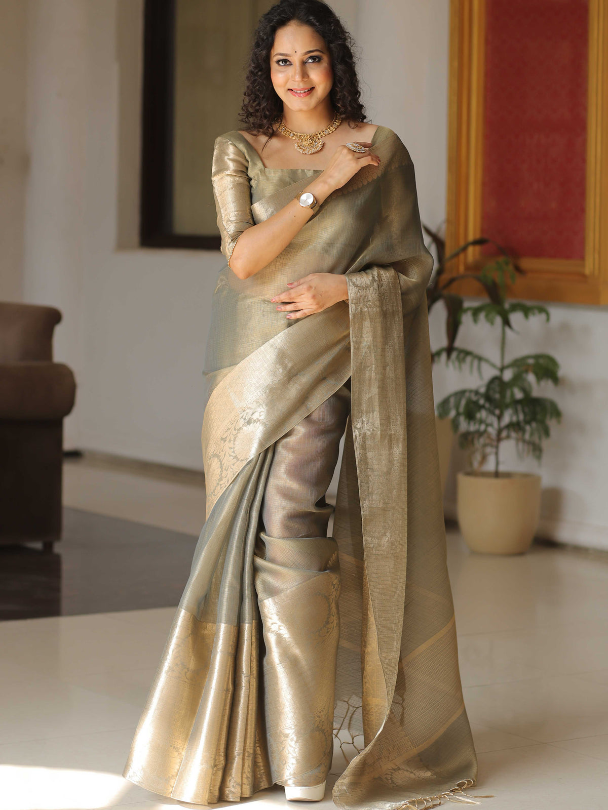 Banarasee Handwoven Plain Tissue Skirt Border Saree-Grey
